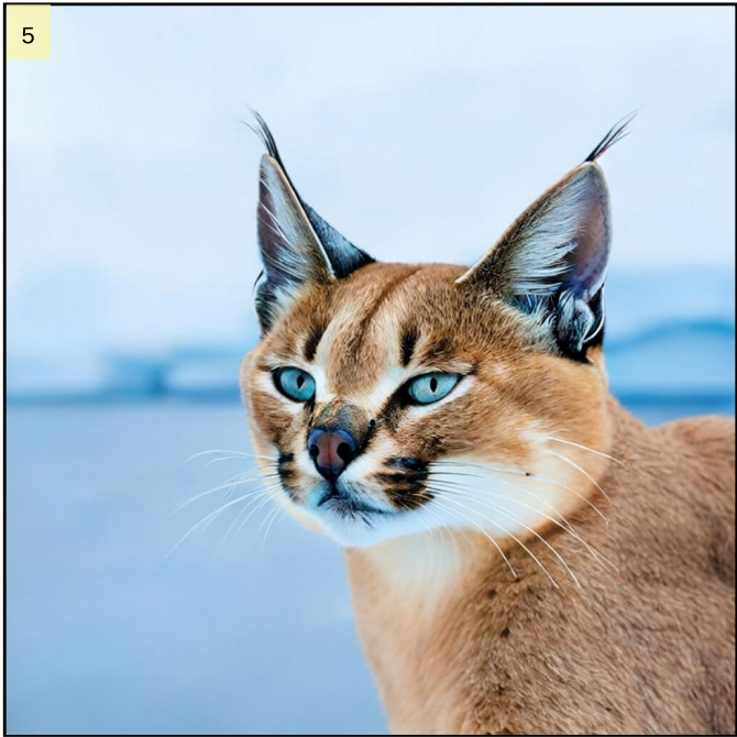 STARFlow: Apple’s Next-Gen Image Generation Breakthrough – Tehrani.com – Tehrani on Tech